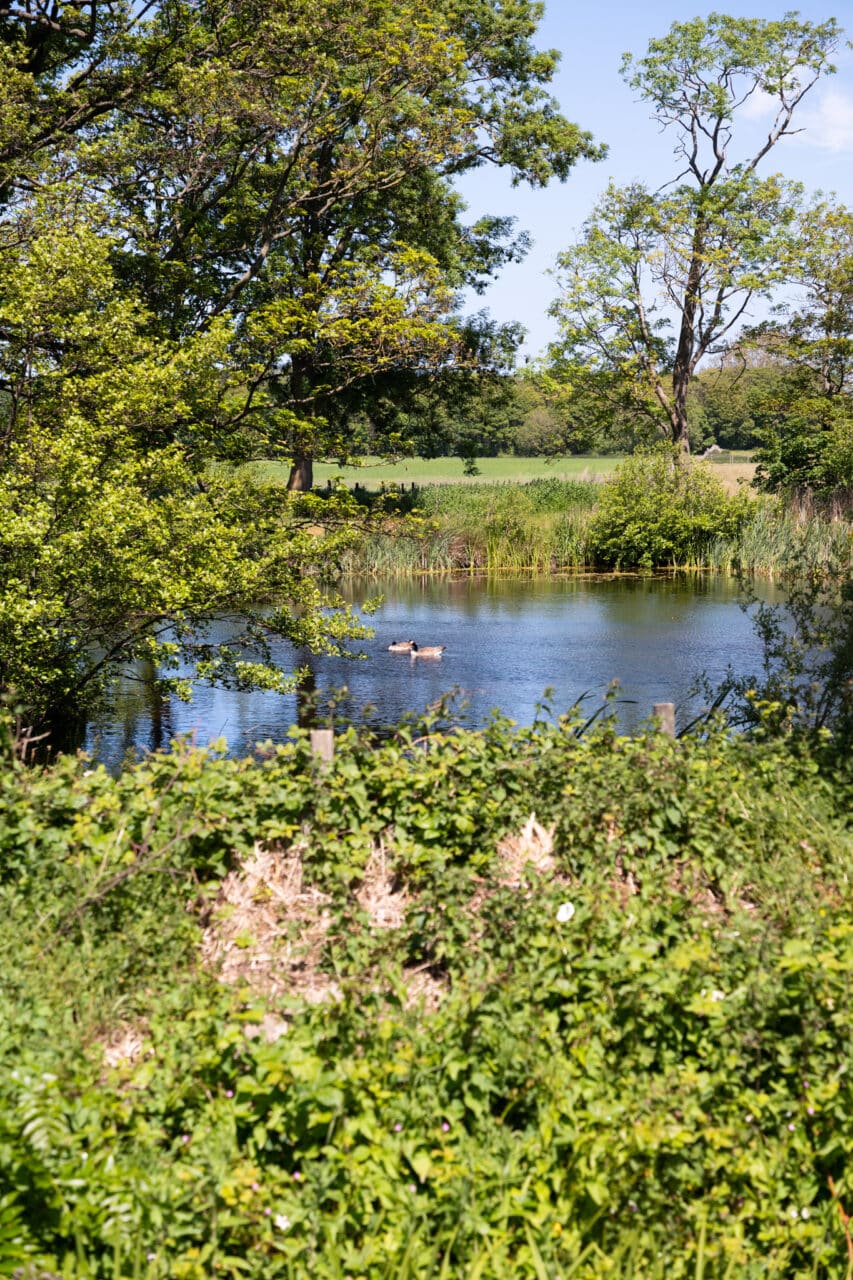 Coastal Breaks and Beach Holidays UK | Lyons Holiday Parks - Lyons ...