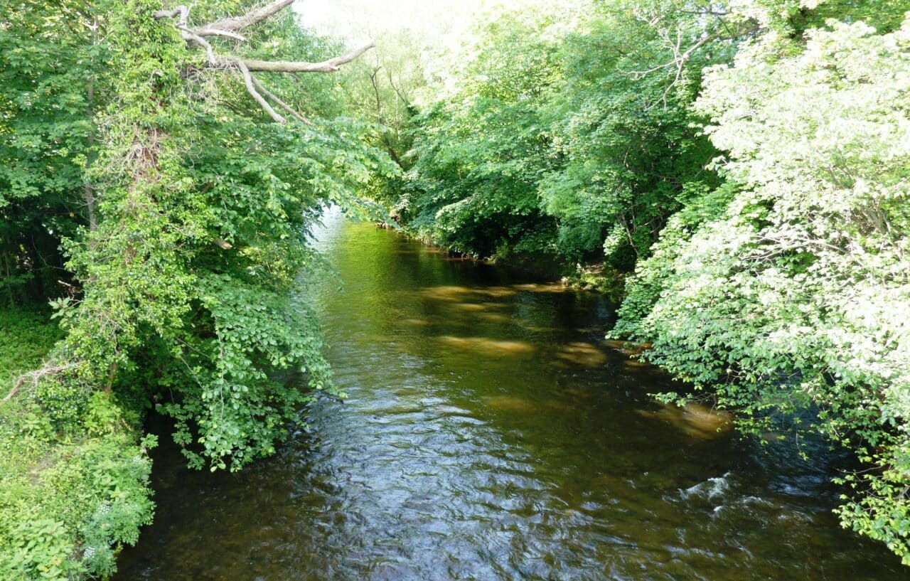 Lyon's Eryl Hall | Owners Exclusive Holiday Park North Wales