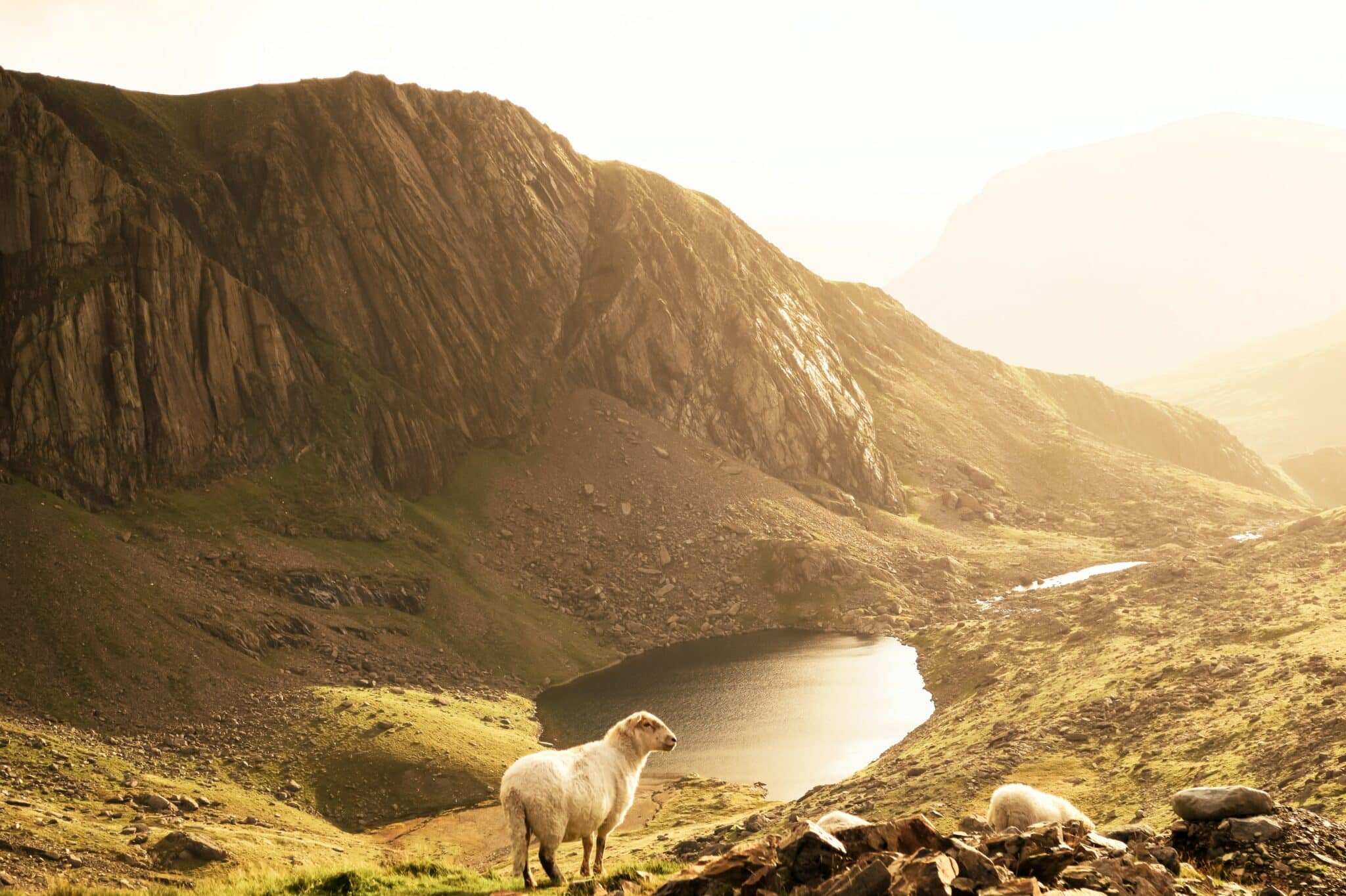 Lyon's Snowdon View Caravan Park | Touring & Camping Snowdonia